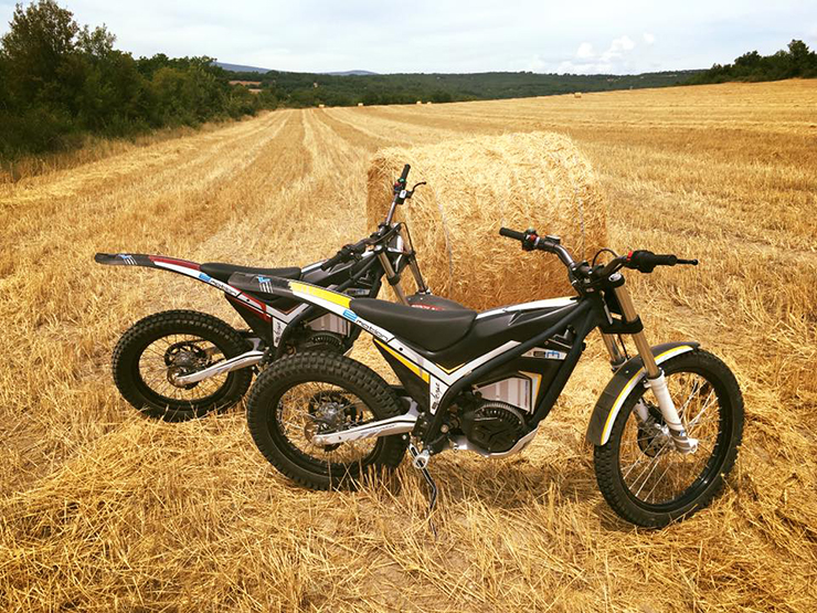 Electric Trial Paradise – thepack.news