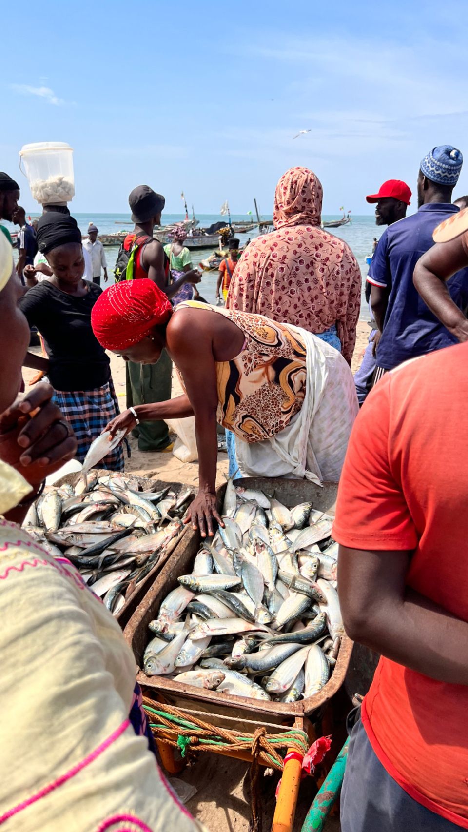 Sinje Gottwald is crossing the African Continent on a Kalk AP – Part 1 ...